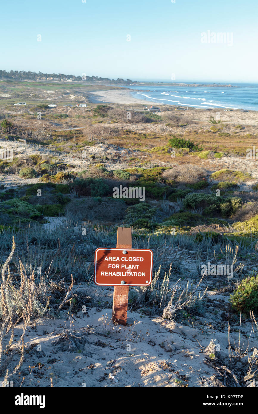 Asilomar State Beach near Pacific Grove Stock Photo - Alamy