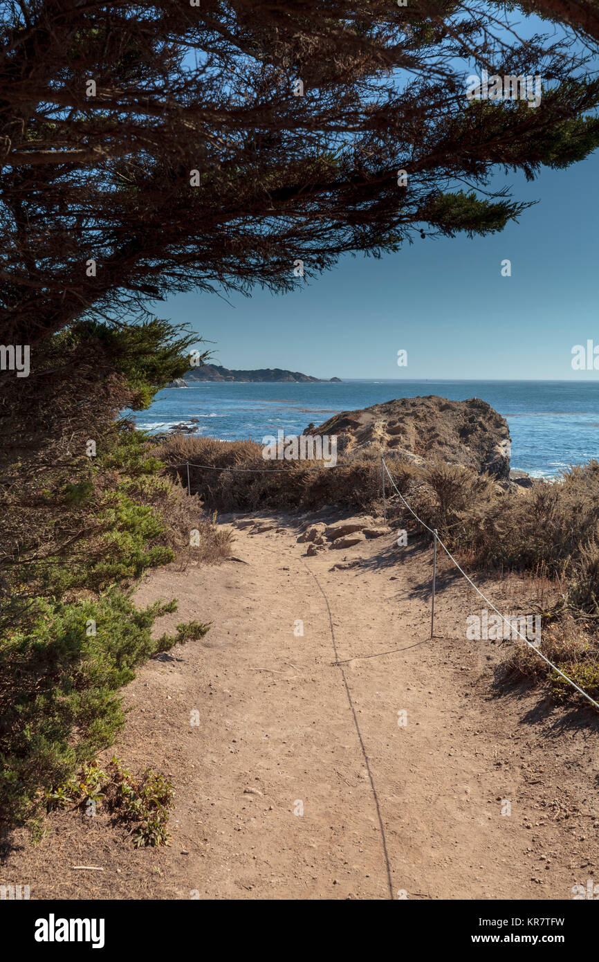 Point Lobos State Natural Reserve Stock Photo - Alamy