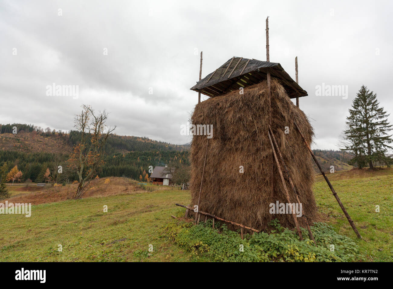 Carpathian Mountains in Western Ukraine Stock Photo - Alamy