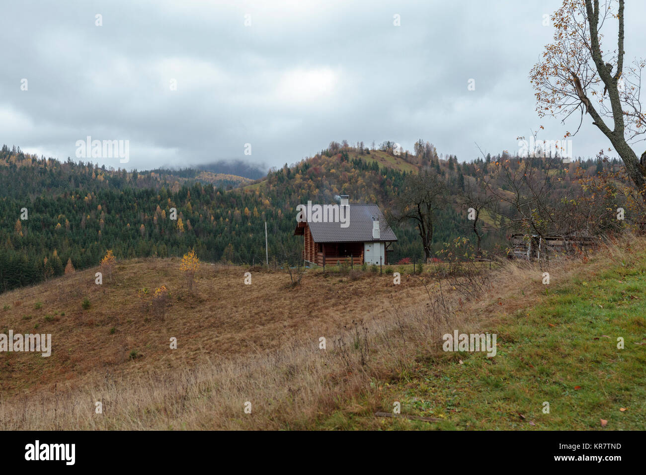 Carpathian Mountains in Western Ukraine Stock Photo - Alamy