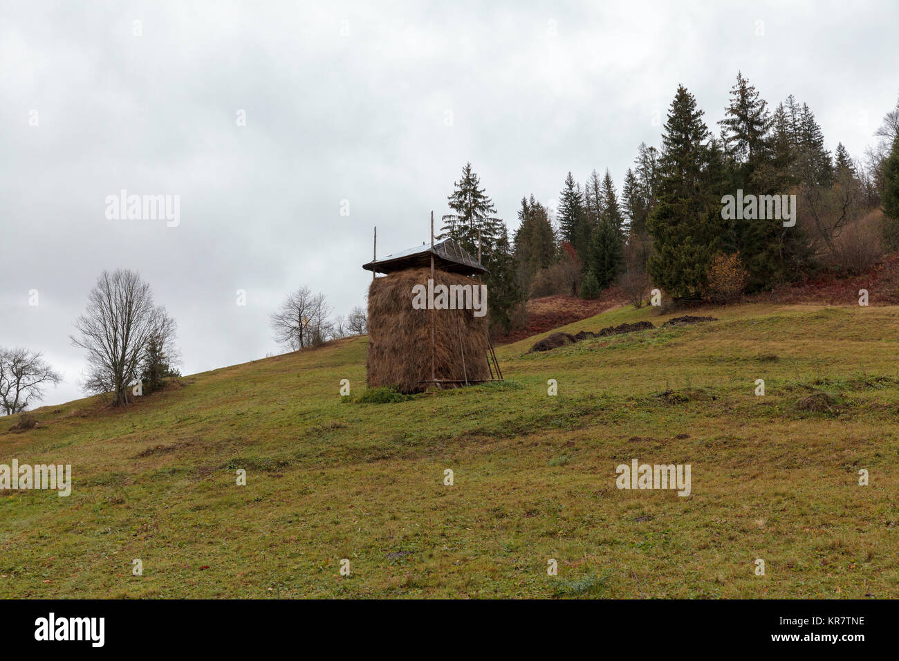 Carpathian Mountains in Western Ukraine Stock Photo - Alamy