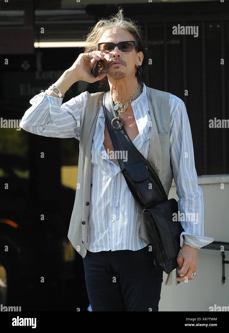 Steven Tyler kisses his driver and takes a selfie with a fan outside Le ...