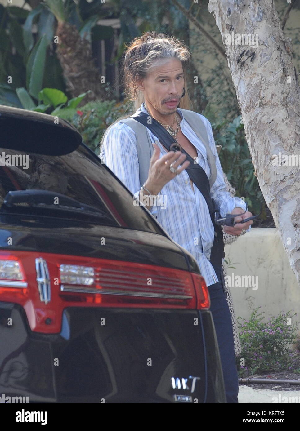 Steven Tyler kisses his driver and takes a selfie with a fan outside Le ...