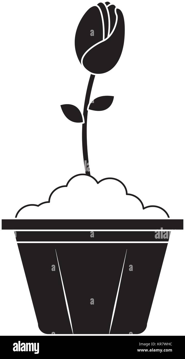beautiful rose in pot Stock Vector Image & Art - Alamy