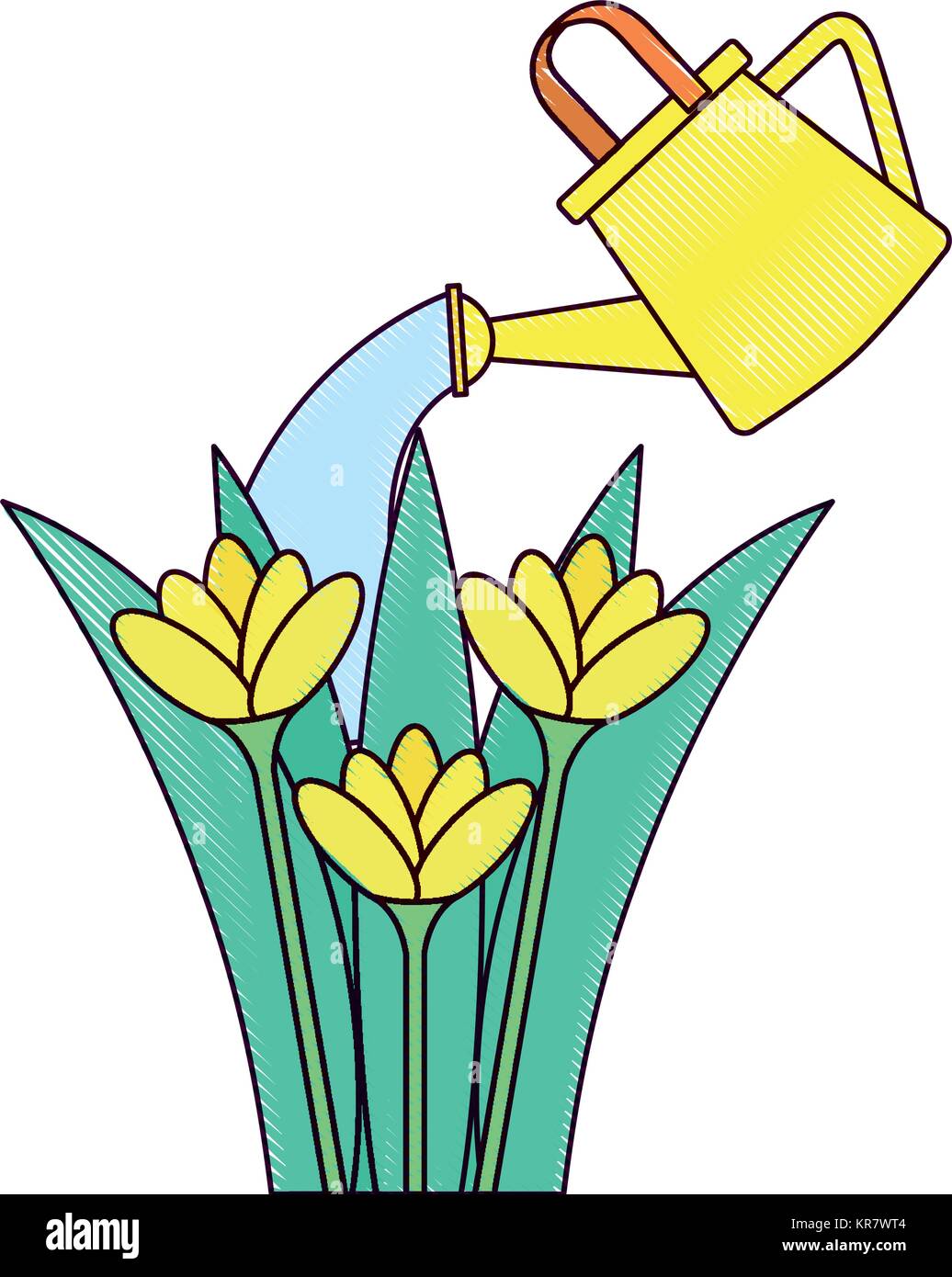 beautiful flowers cultivated with sprinkler Stock Vector Image & Art ...