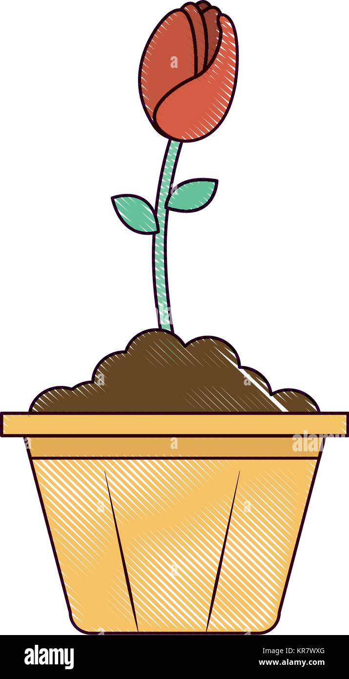 beautiful rose in pot Stock Vector Image & Art - Alamy
