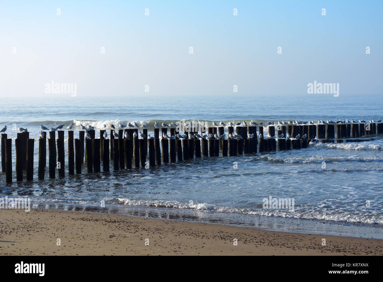 Sea beams hi-res stock photography and images - Alamy