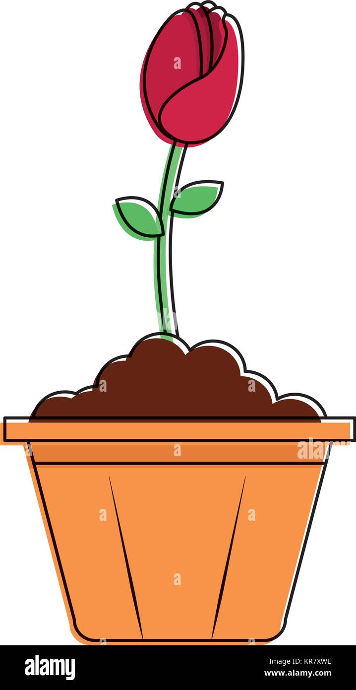 Botany rose home garden Stock Vector Images - Alamy