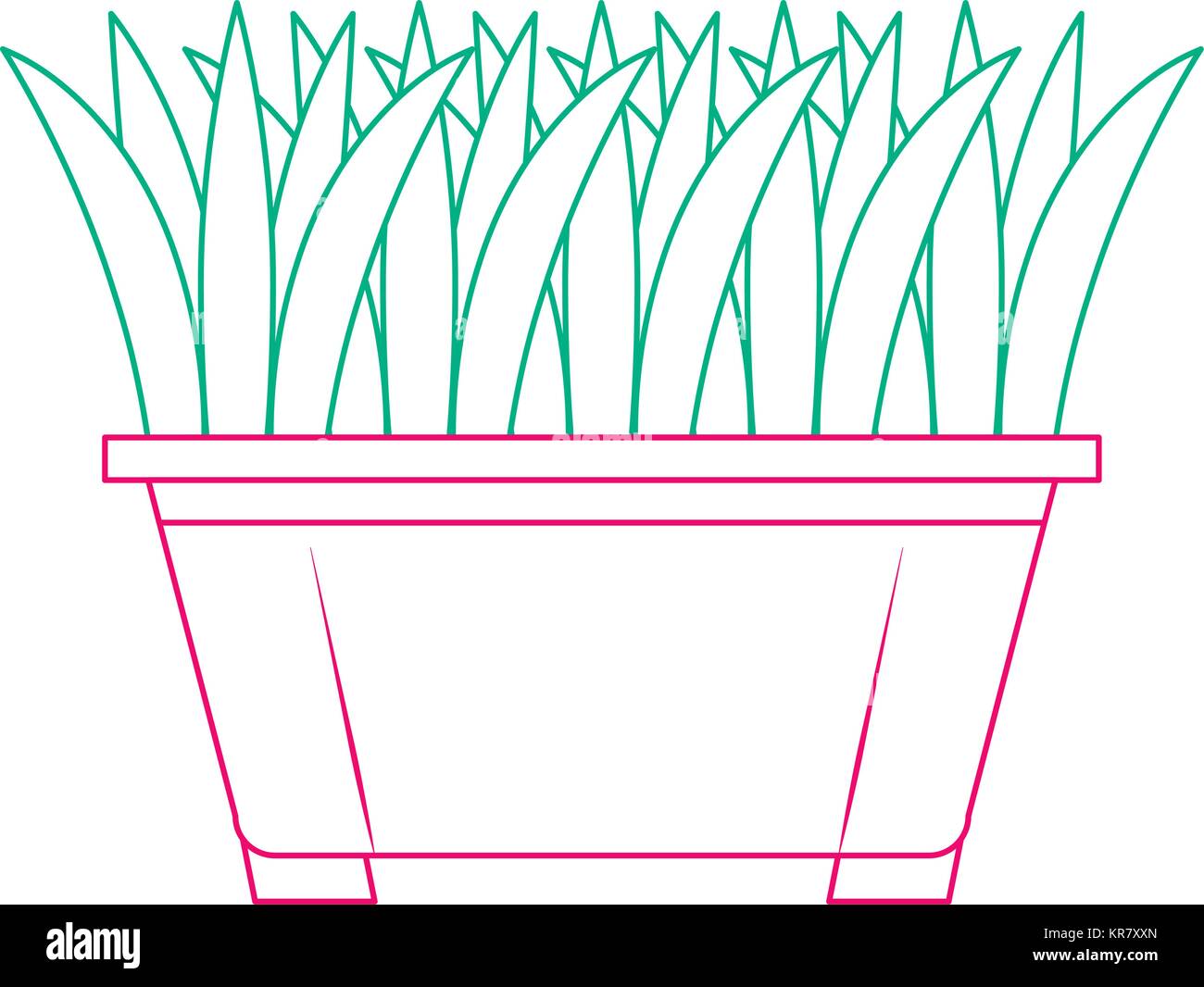 grass in pot icon Stock Vector Image & Art - Alamy