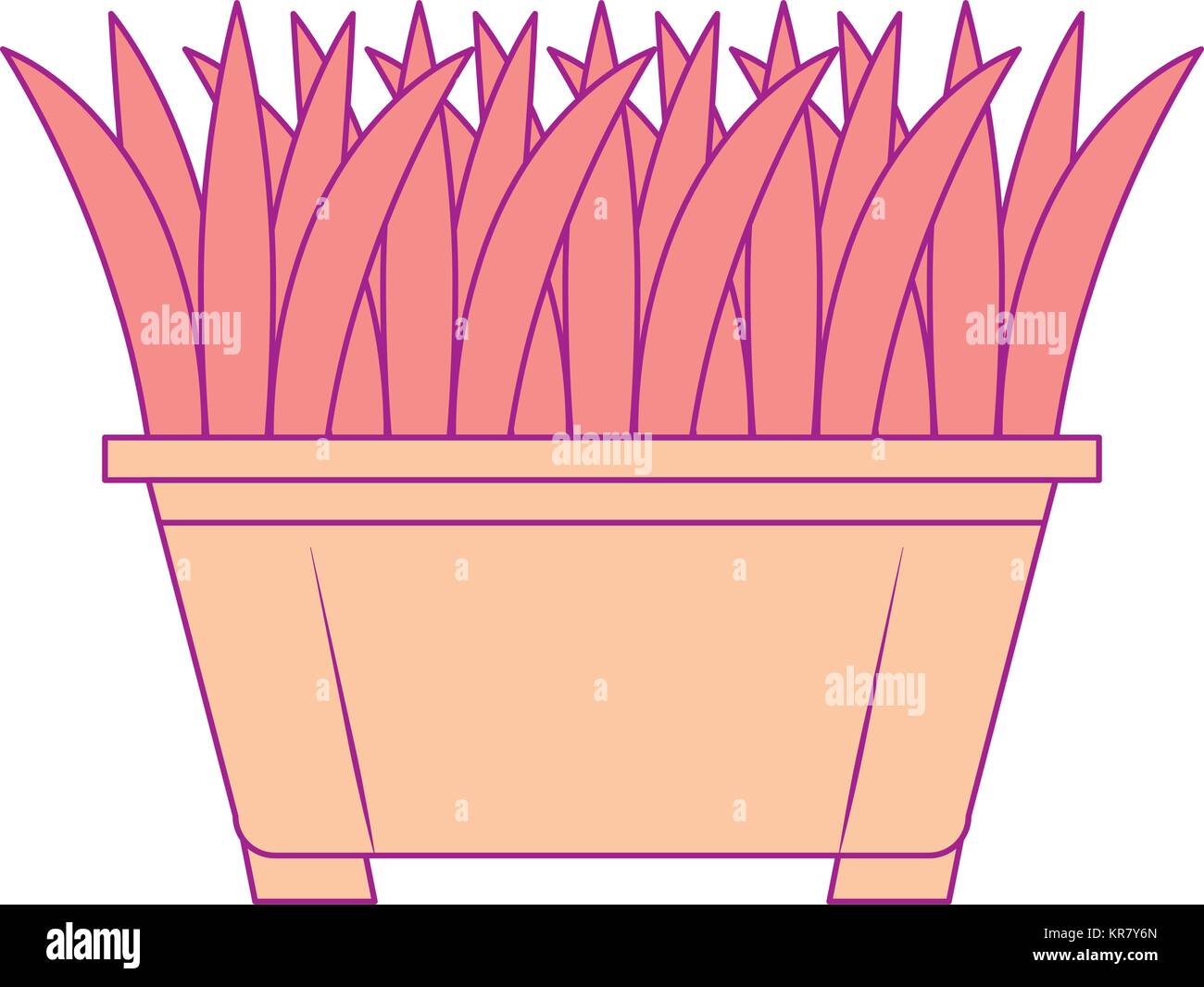 grass in pot icon Stock Vector Image & Art - Alamy