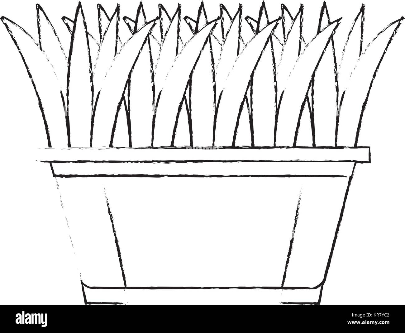 grass in pot icon Stock Vector Image & Art - Alamy