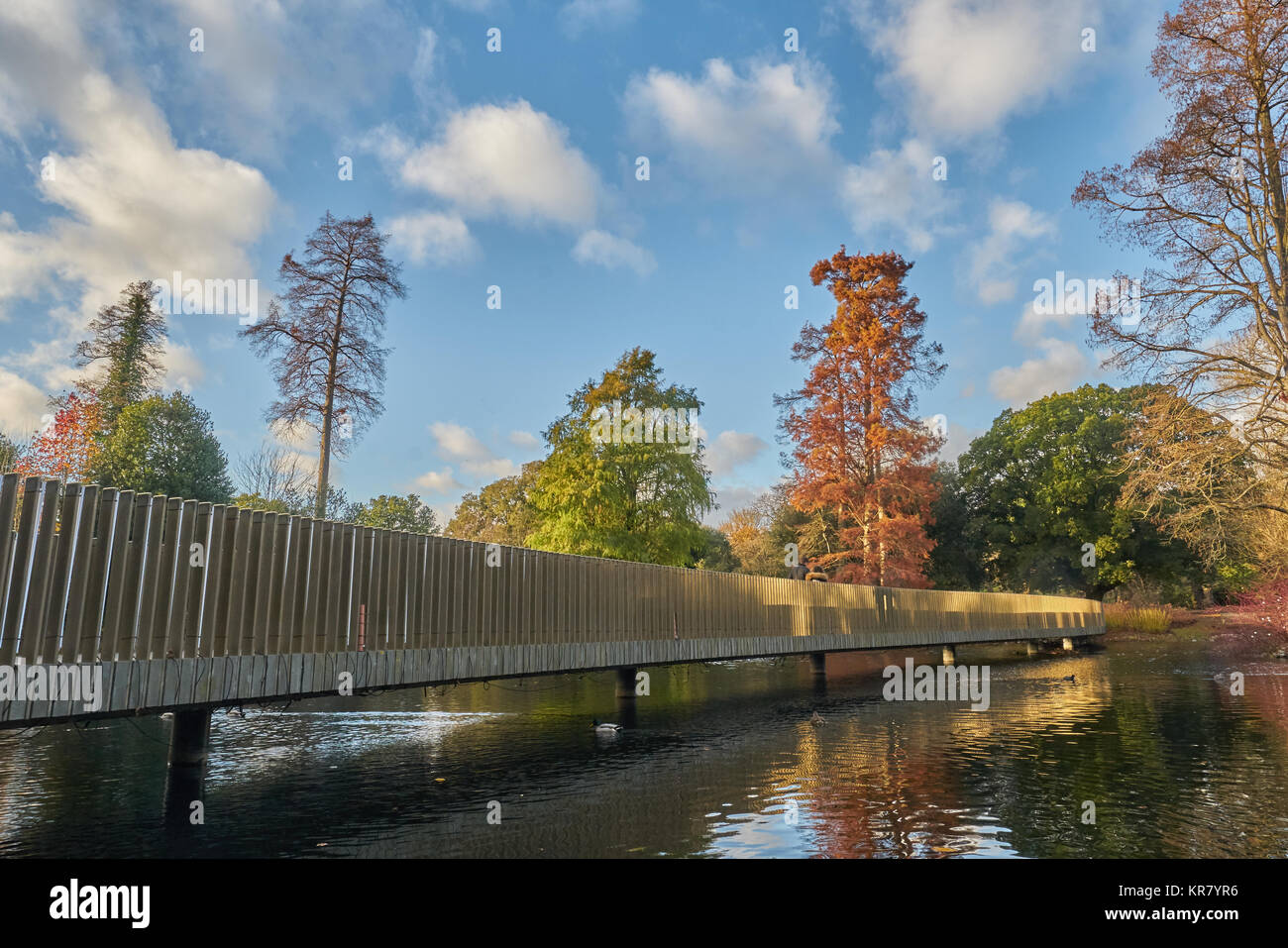 kew gardens lake bridge Stock Photo - Alamy