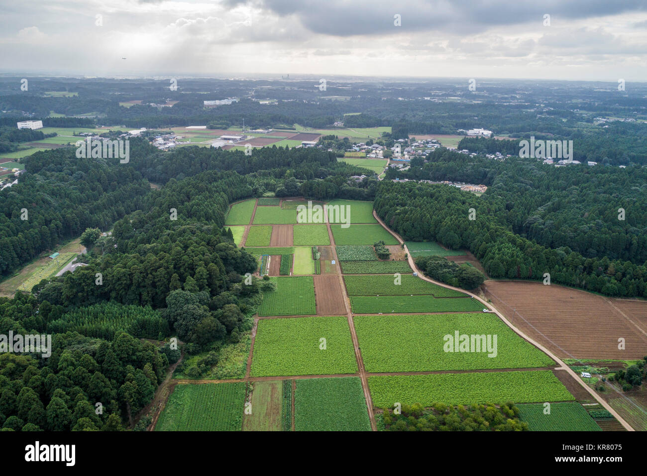 Shimousa Plateau, Tako Town, Katori District, Chiba Prefecture, Japan ...