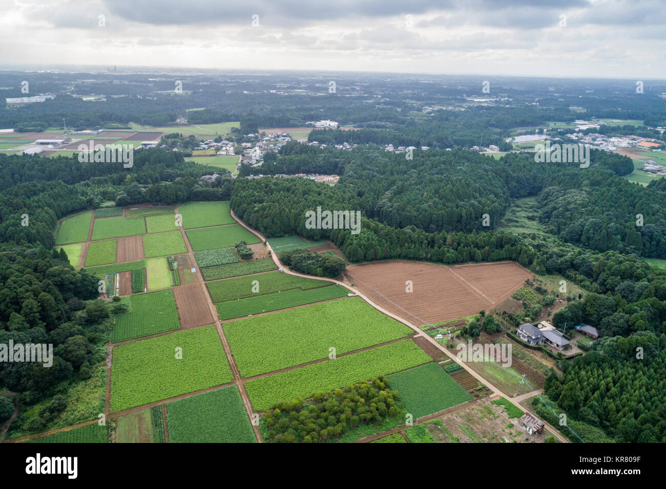 Shimousa Plateau, Tako Town, Katori District, Chiba Prefecture, Japan ...