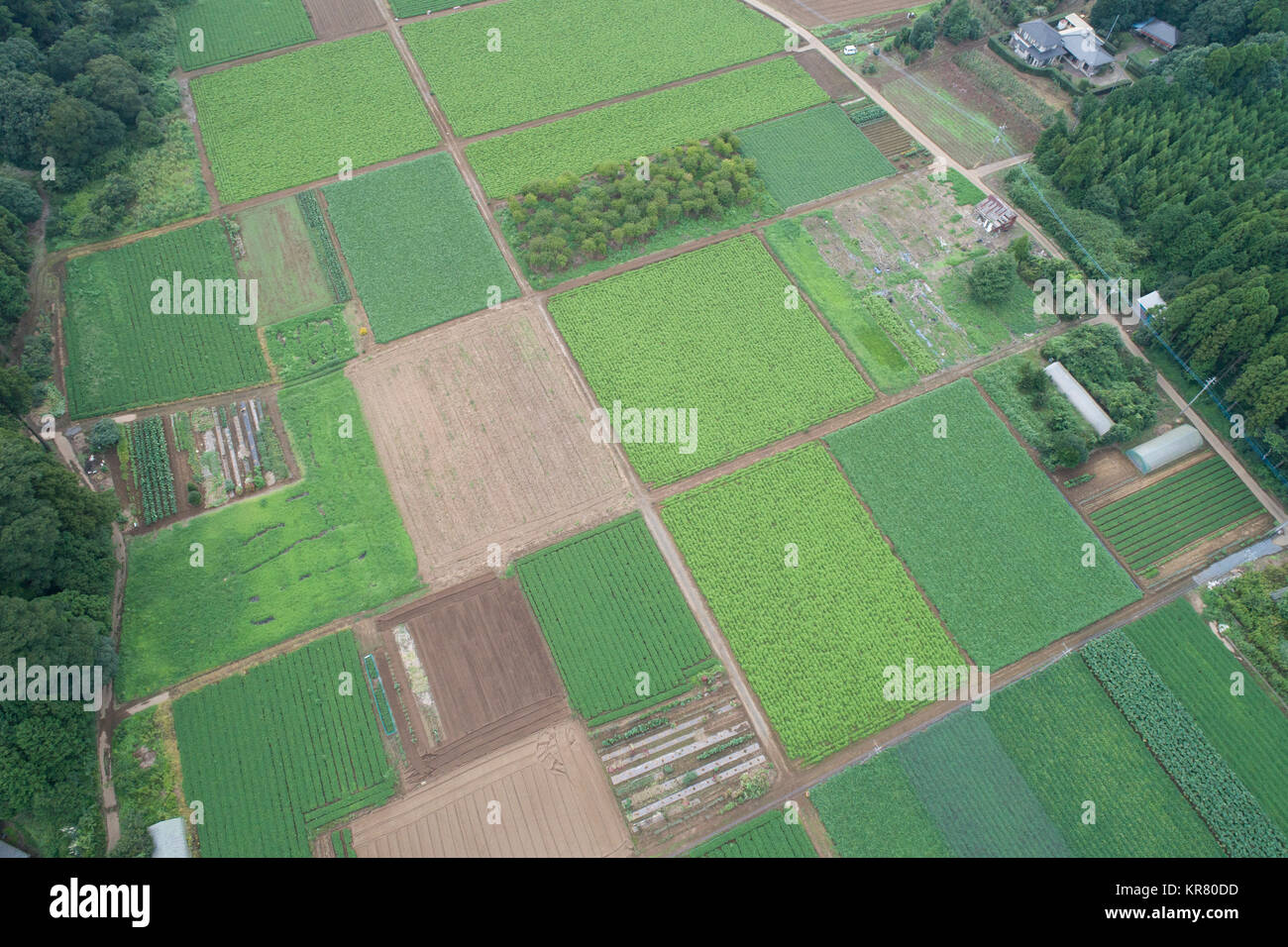 Shimousa Plateau, Tako Town, Katori District, Chiba Prefecture, Japan ...