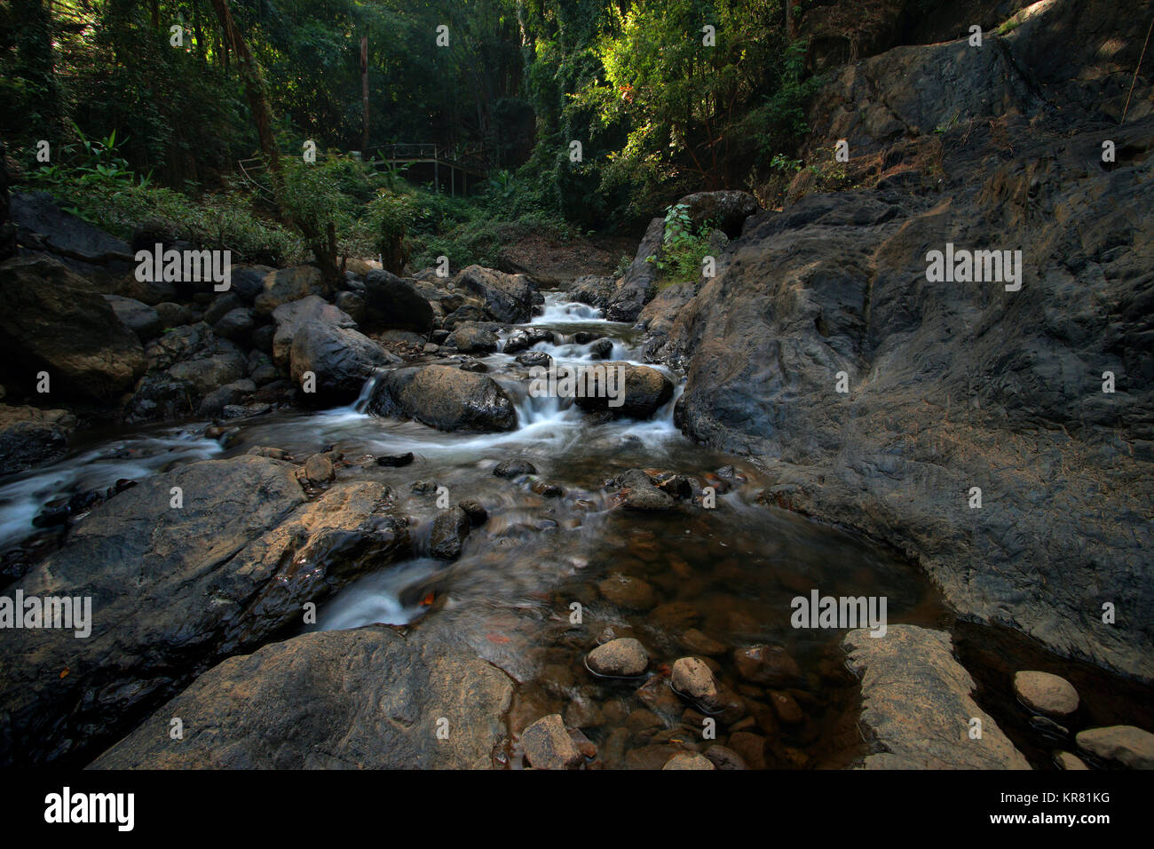 Brook in the forest hi-res stock photography and images - Alamy