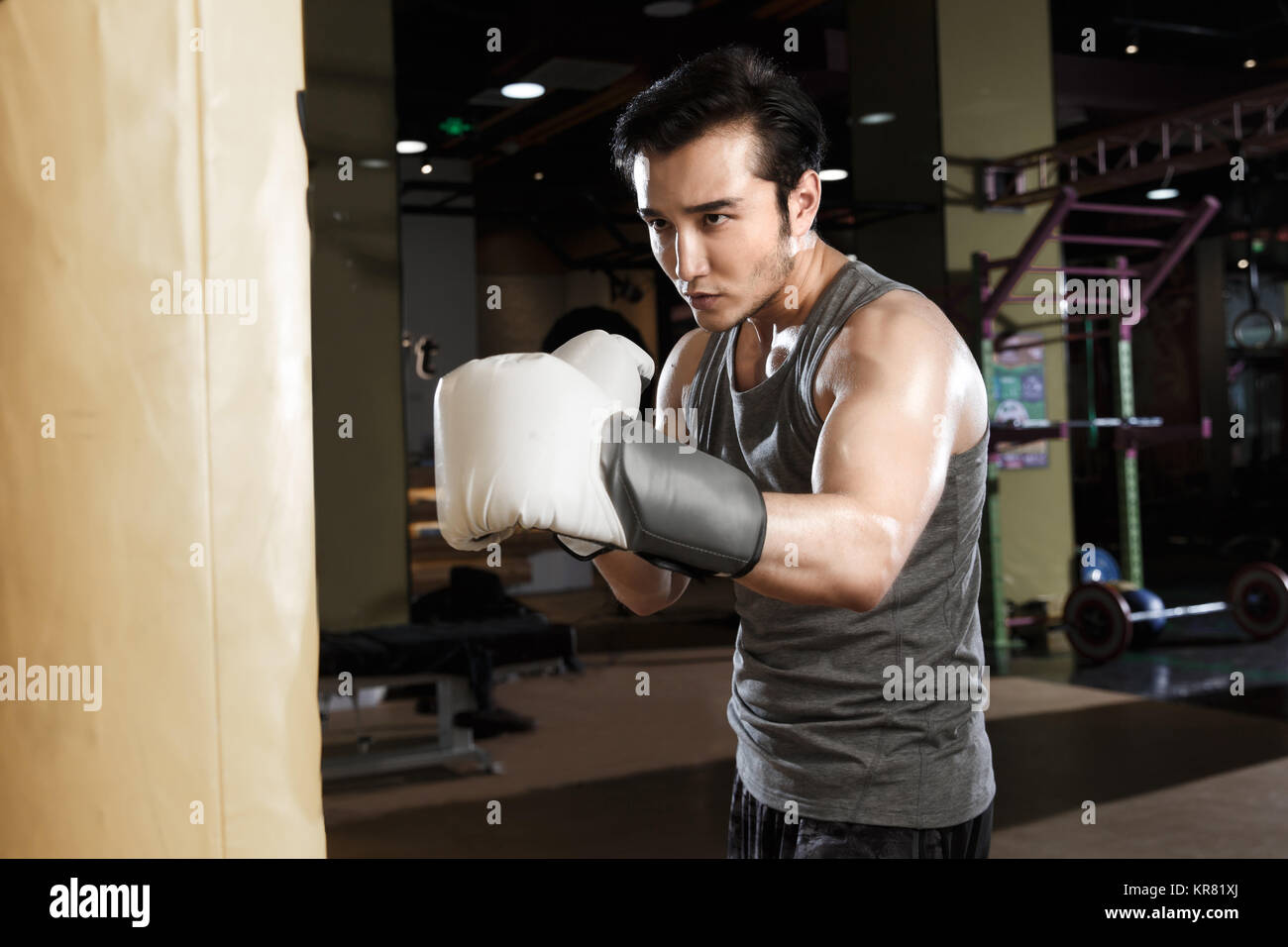 Young men exercise in the gym Stock Photo - Alamy