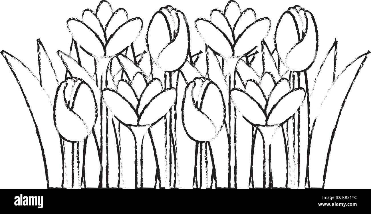 Flowers grown Stock Vector Images - Alamy