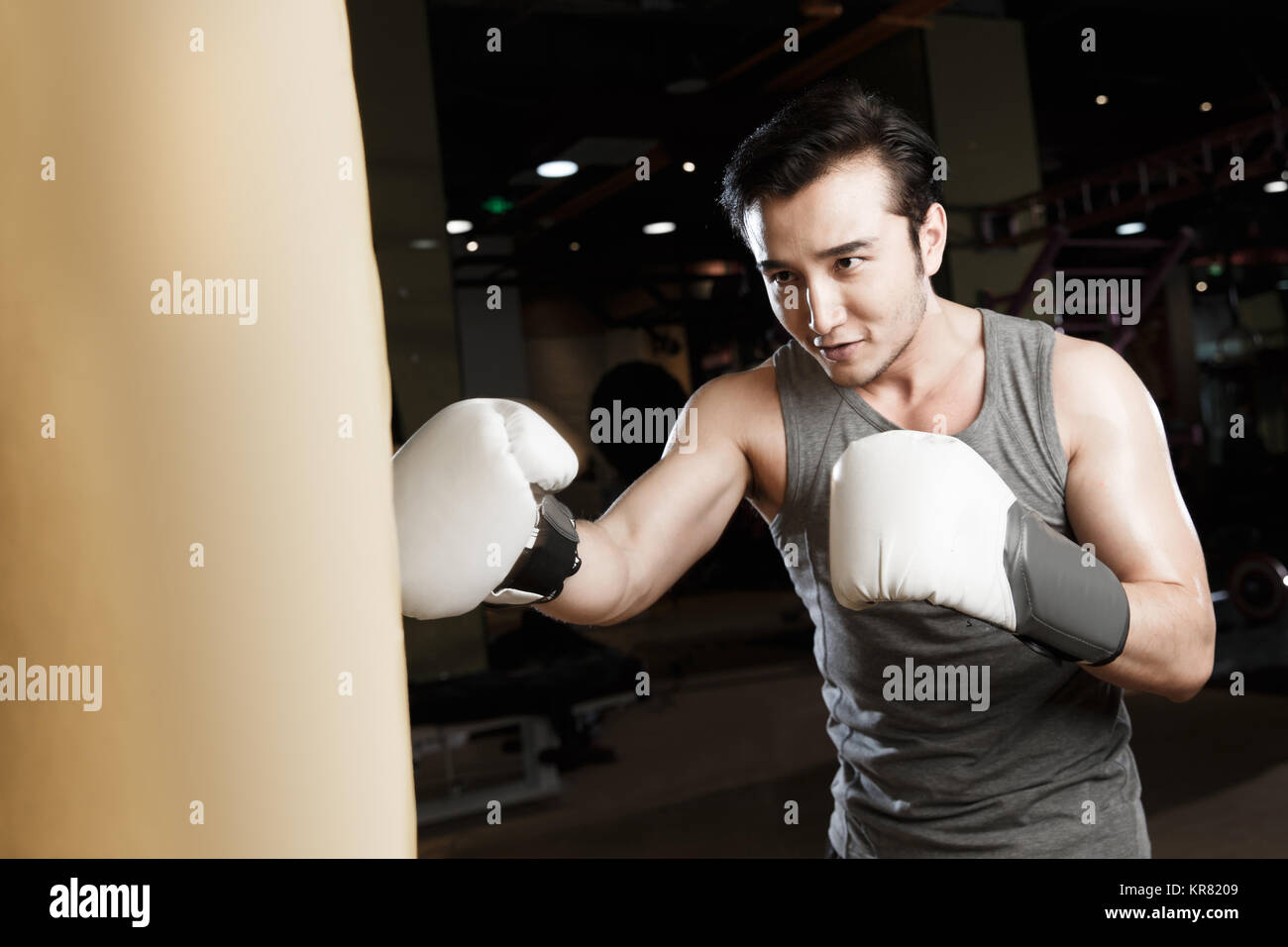 Young men exercise in the gym Stock Photo - Alamy
