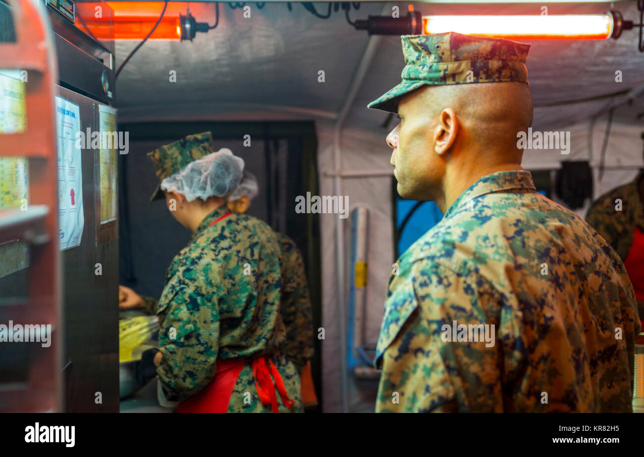 A food service evaluator notices a hygiene flyer during the Maj. Gen ...