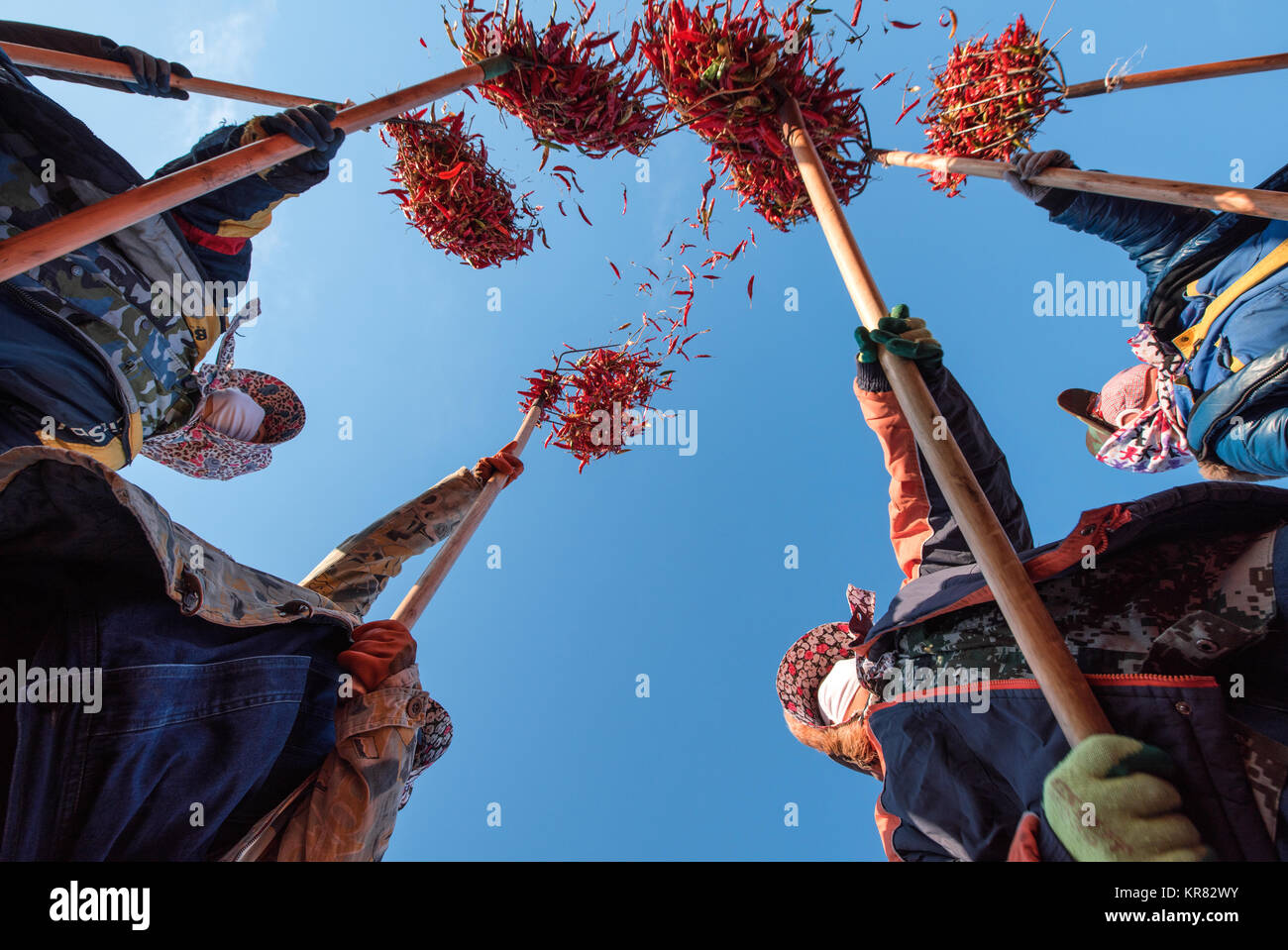 Chilli on sunlight hi-res stock photography and images - Alamy