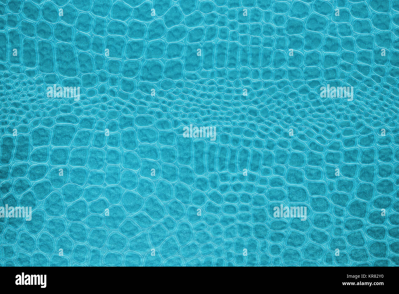 Blue snake skin texture background. skin texture Stock Photo - Alamy