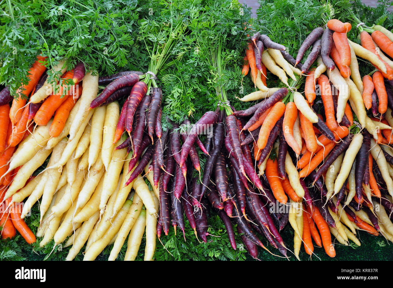 Colorful winter carrots at the market Stock Photo - Alamy