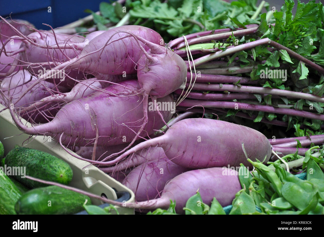 Fresh daikon beets at farmer's market Stock Photo - Alamy