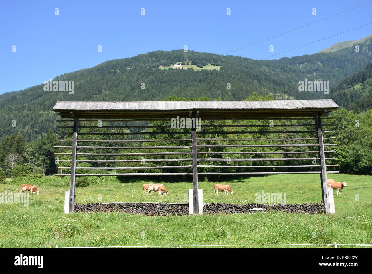 haystack,hay drying,crossbars,bauer dry,farmer,deer,location Stock ...