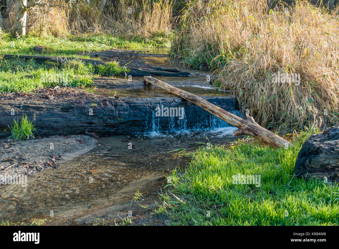 Seahurst park hi-res stock photography and images - Alamy