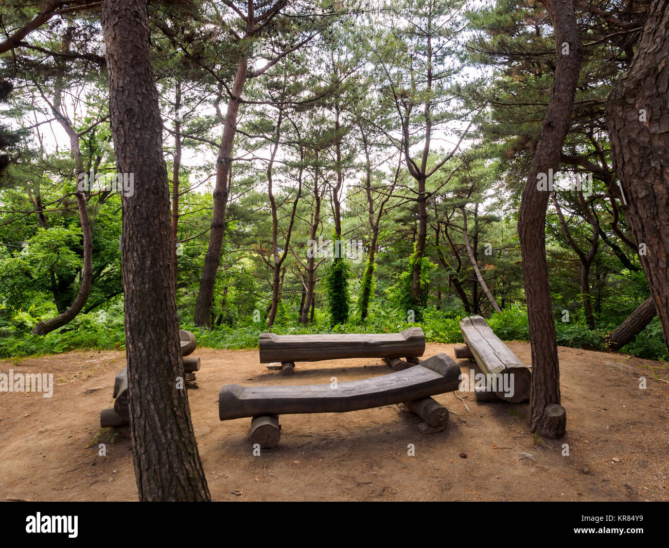 Seoul korea bench hi-res stock photography and images - Alamy