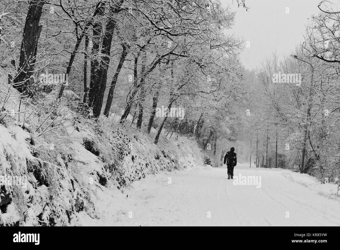 one man walking in winter Stock Photo - Alamy