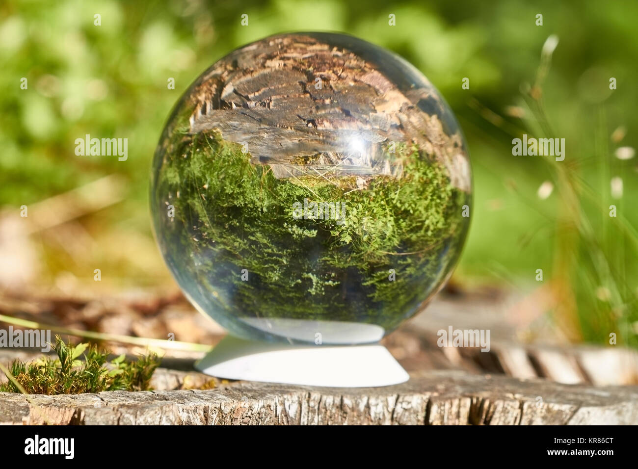 Future magic glass ball sorcery hi-res stock photography and images - Alamy
