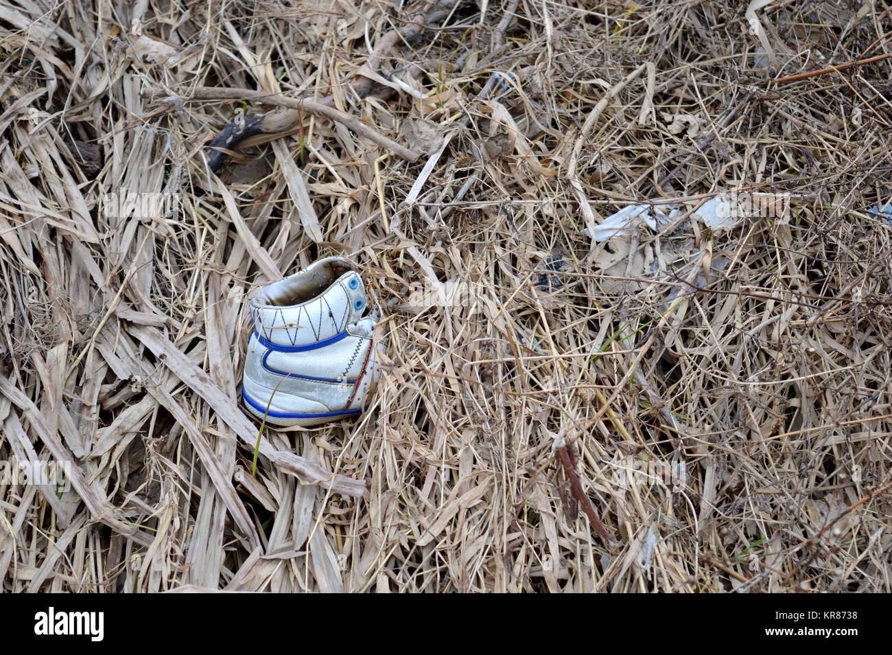 garbage in dry grass Stock Photo - Alamy