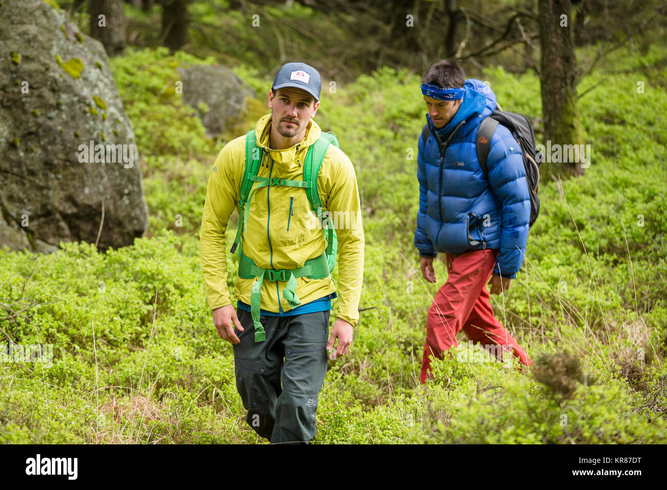 Rock climbers walk through a wood to a climbing route Stock Photo - Alamy