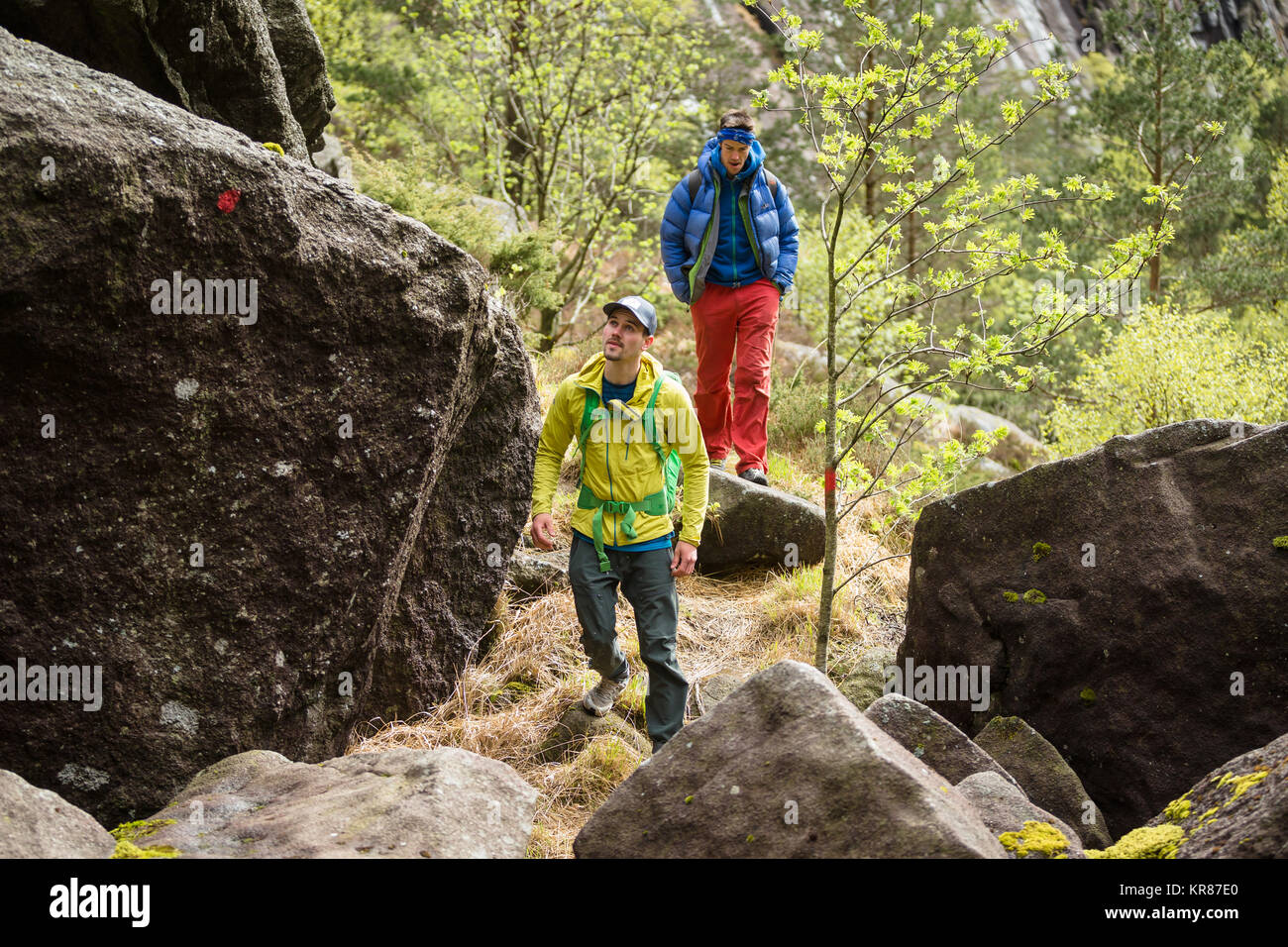 Rock climbers walk through a wood to a climbing route Stock Photo - Alamy