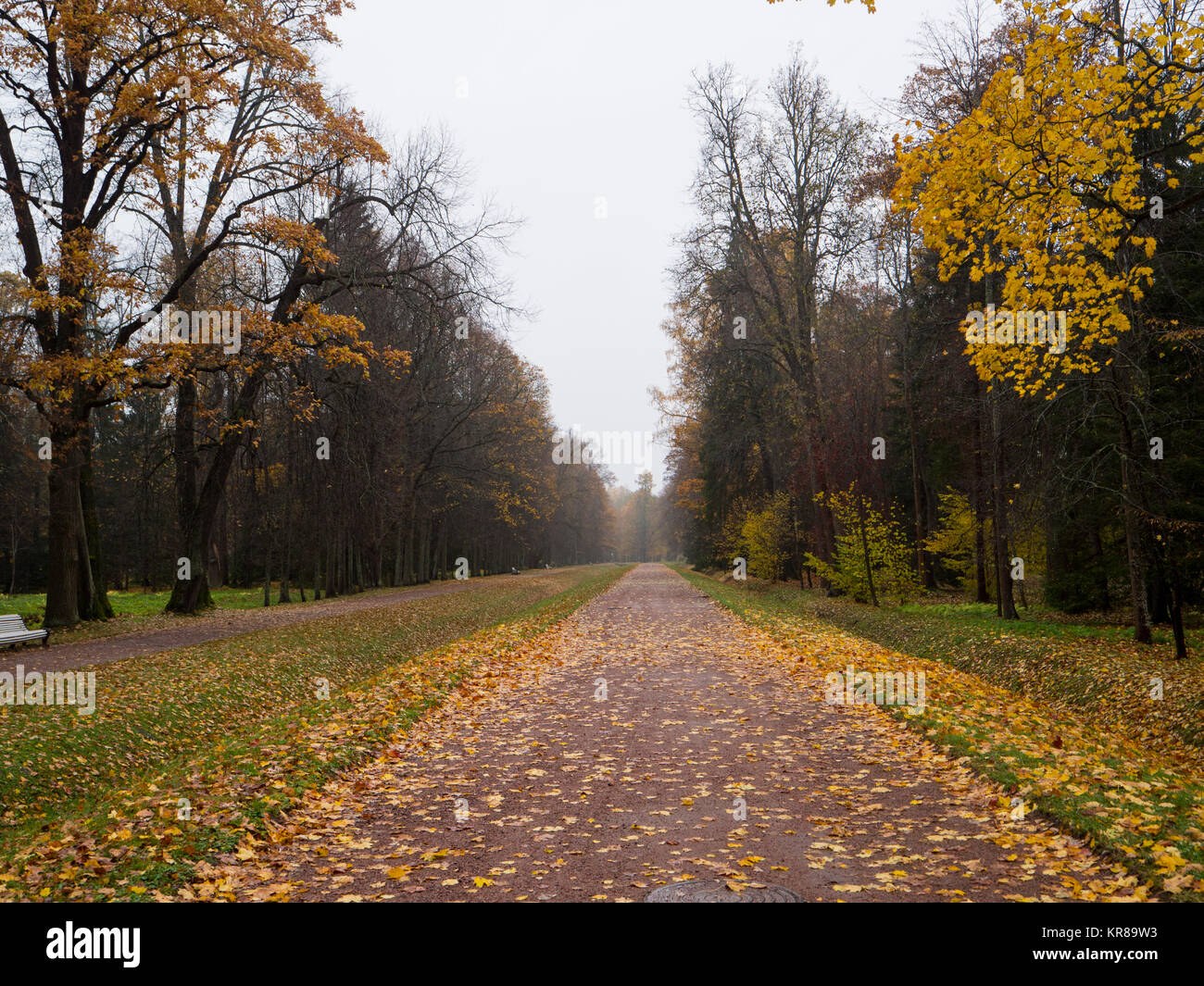 Beautiful autumn park. Autumn in Oranienbaum, Saint Petersburg. Trees ...