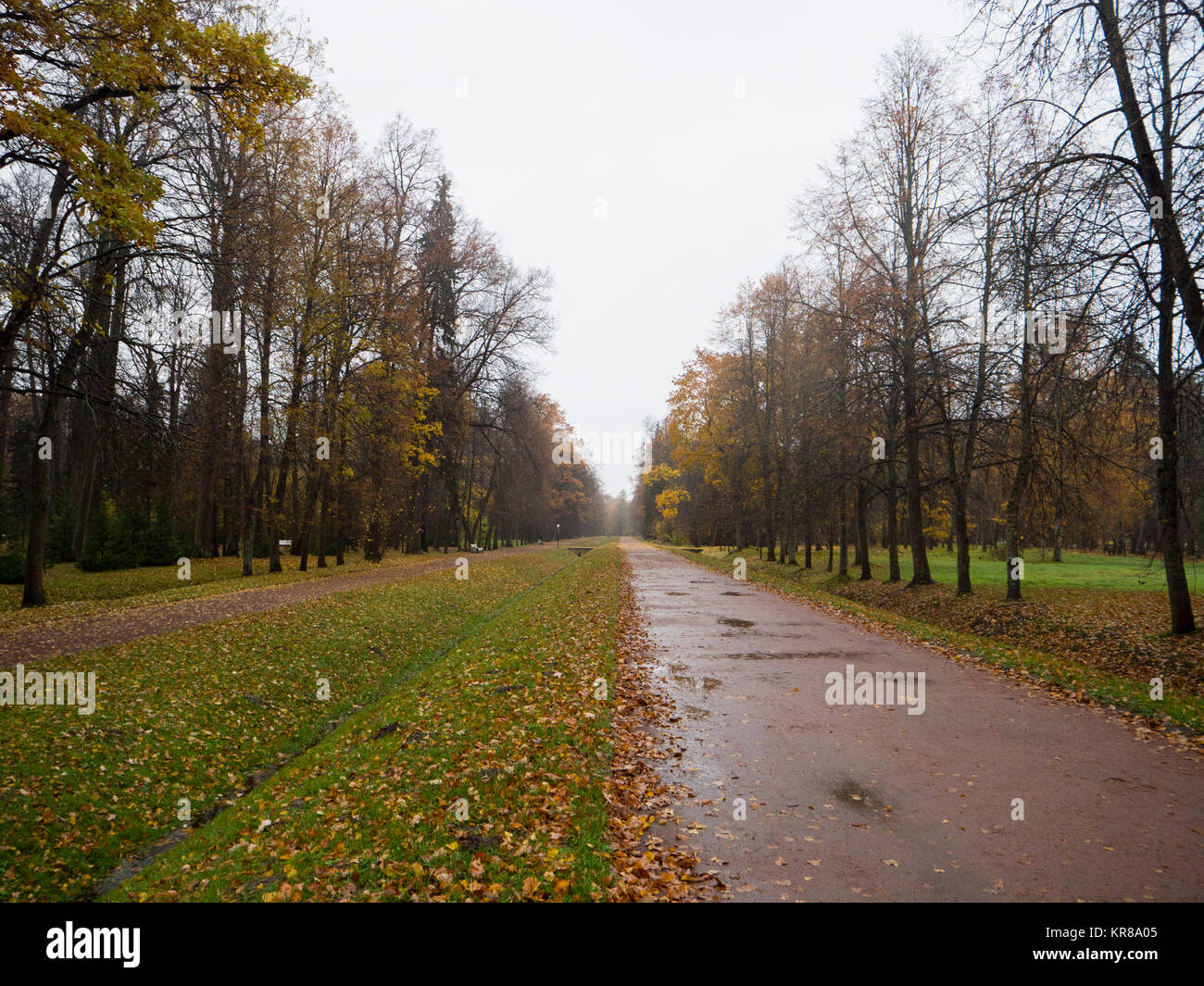 Beautiful autumn park. Autumn in Oranienbaum, Saint Petersburg. Trees ...