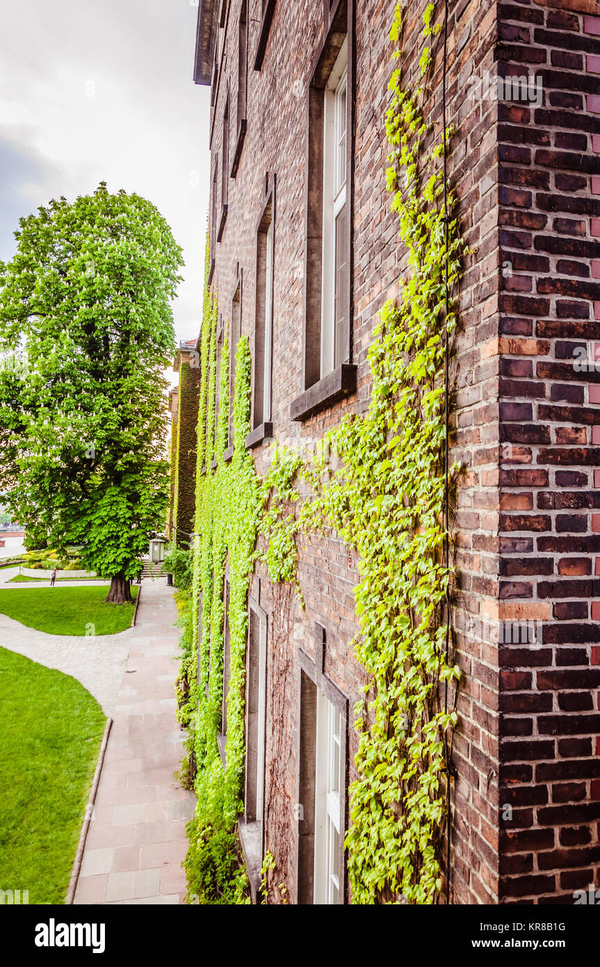 Ancient building covered with ivy Stock Photo - Alamy