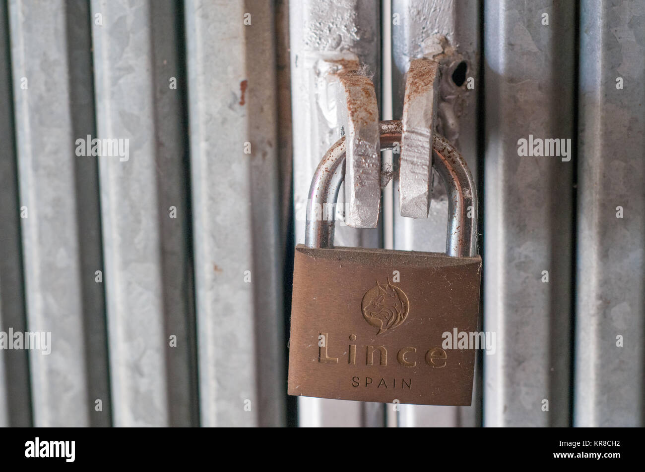 Padlock manufactured in Spain, Lince (lynx) brand, closing a metal door ...