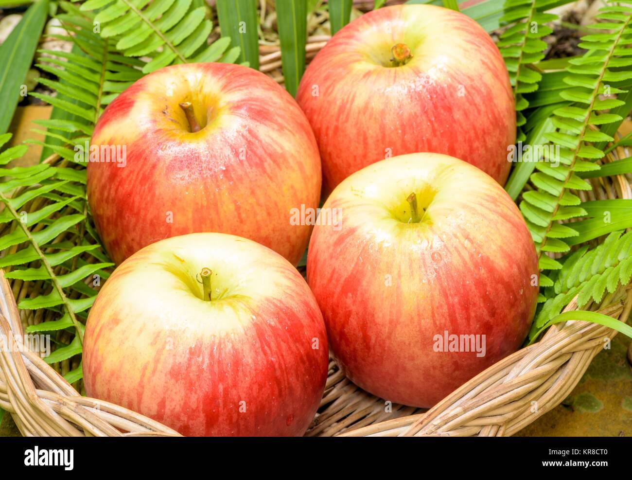Red apple fruits Stock Photo - Alamy