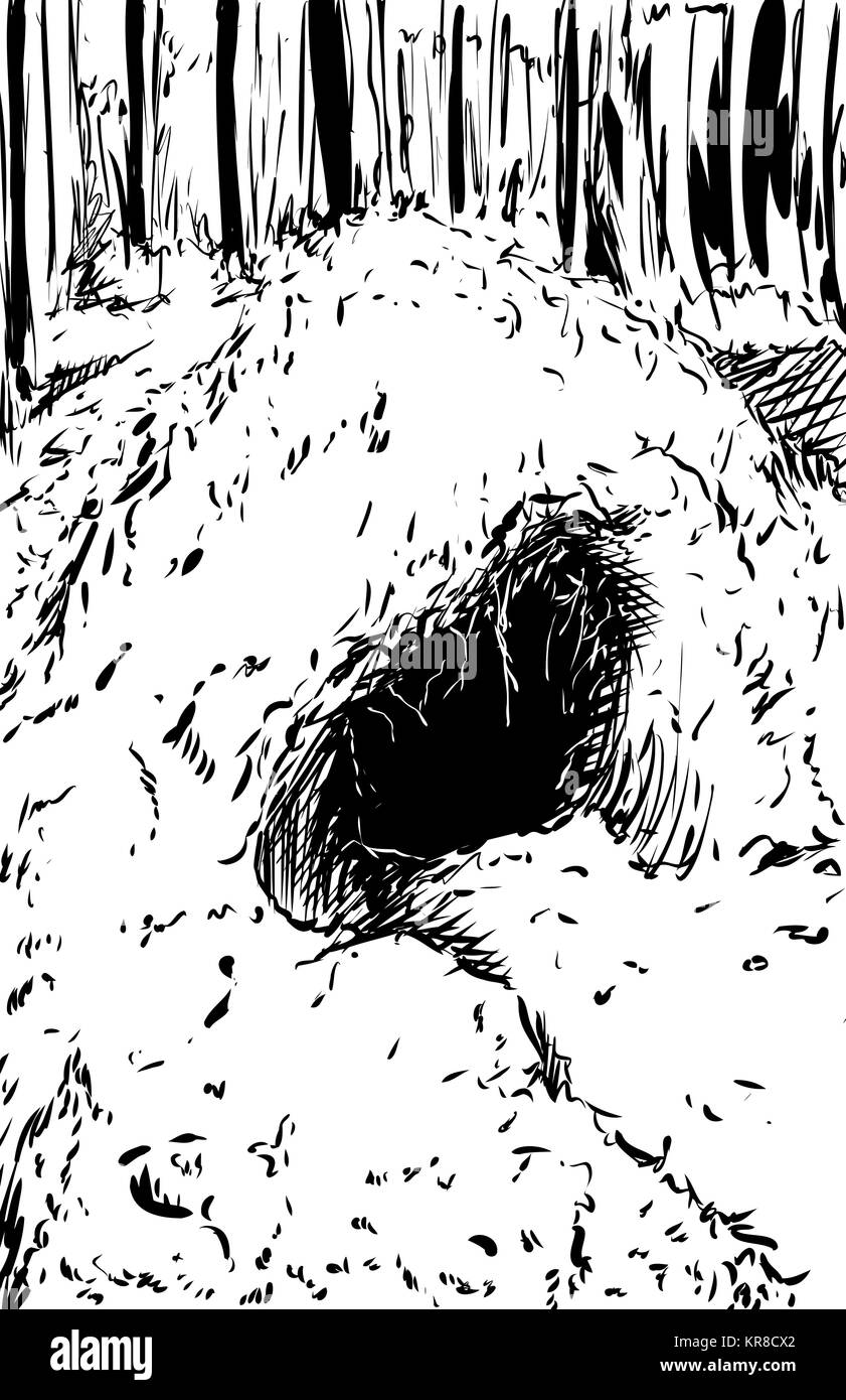 Outlined Bear Den in Forest Stock Photo - Alamy