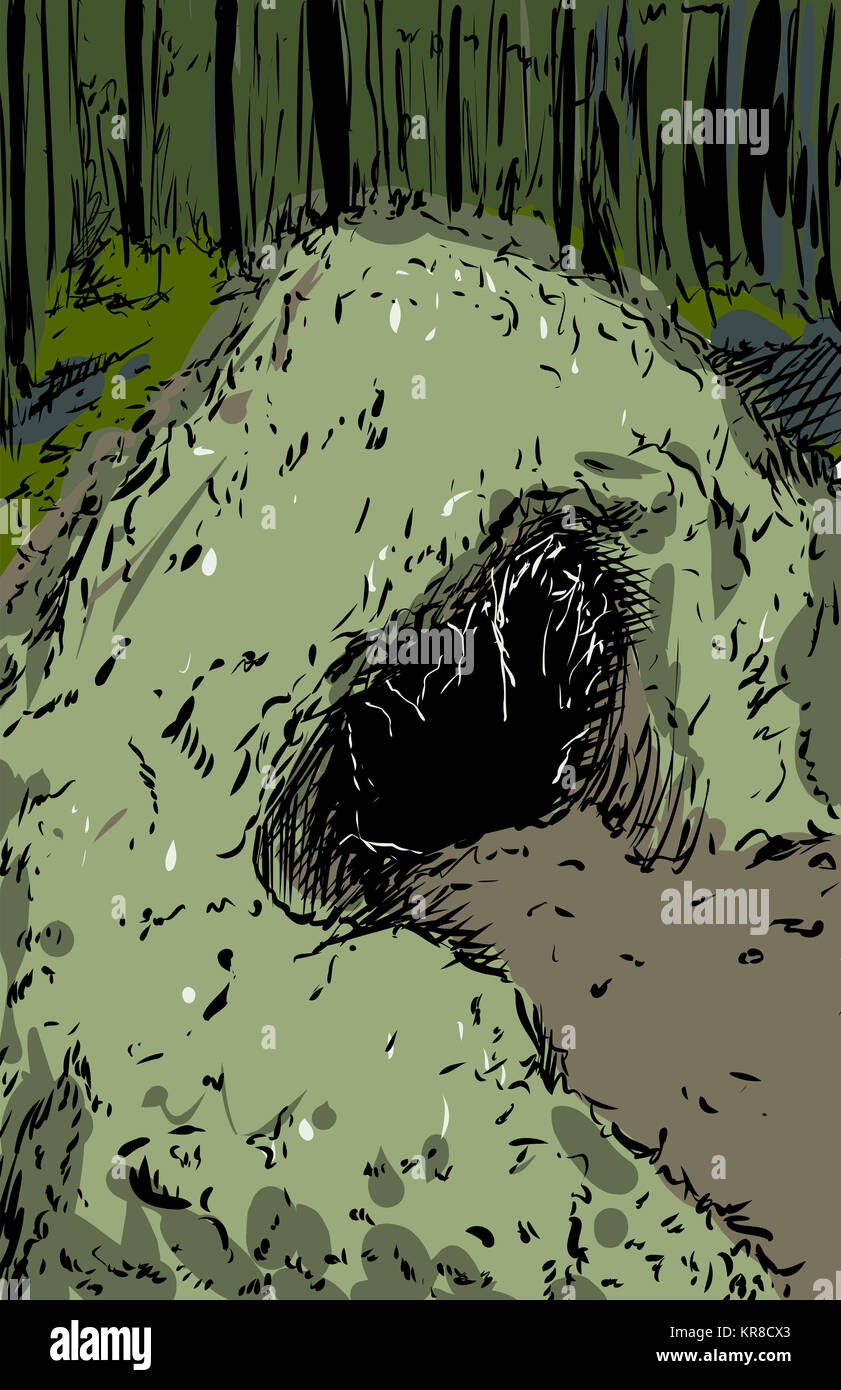 Bear Den in Forest Stock Photo - Alamy
