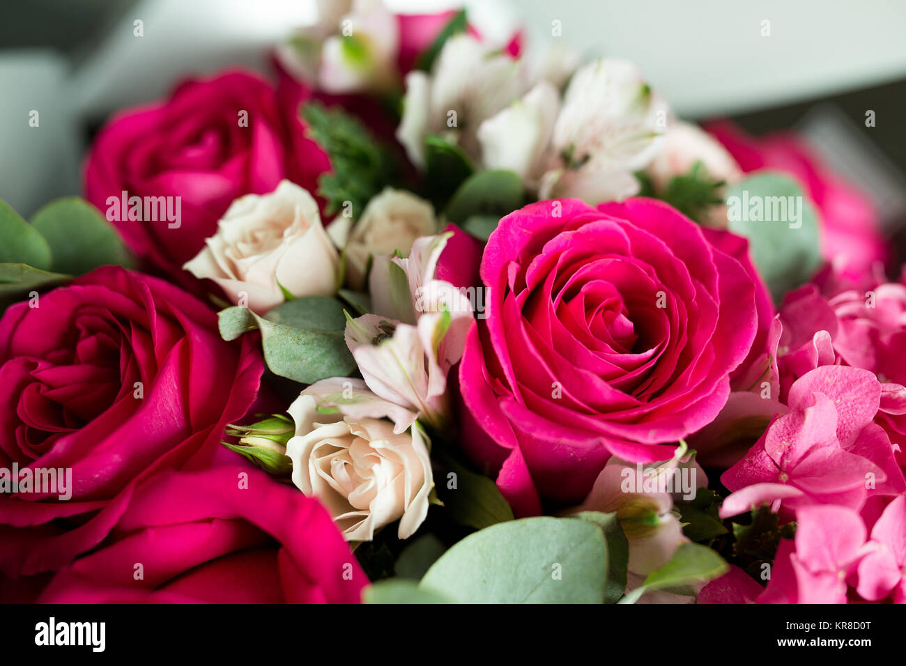 Soft color Roses Stock Photo - Alamy