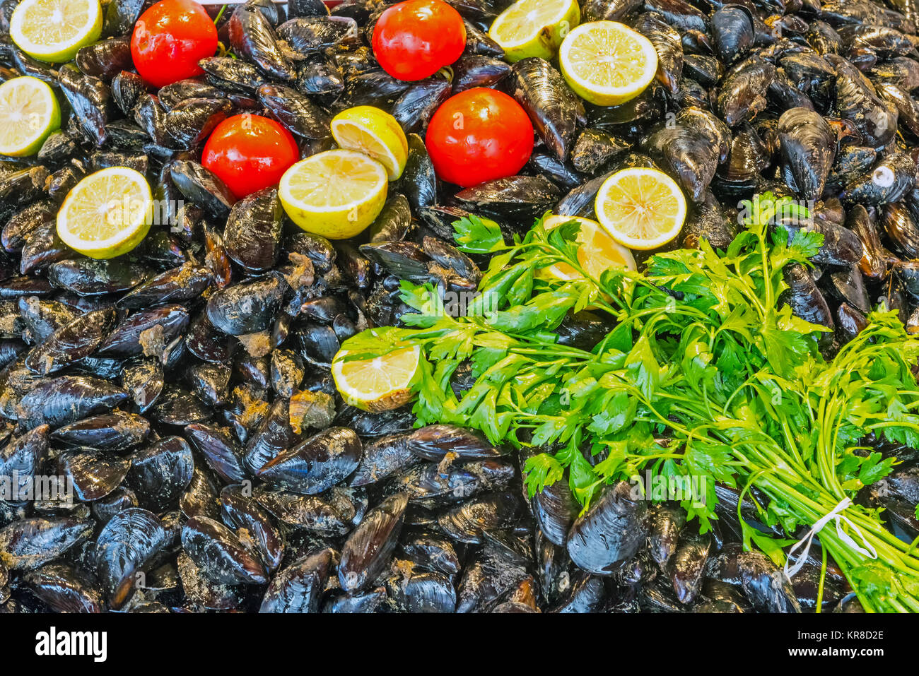 fresh mussels for sale at a market in palermo Stock Photo - Alamy