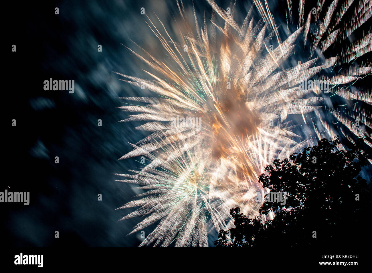 sparkling firework on night seen from a park and trees silhouettes ...