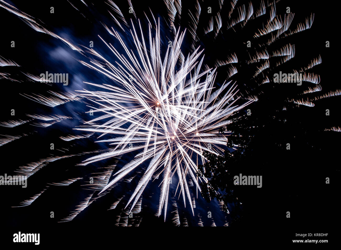 sparkling firework on night seen from a park and trees silhouettes ...