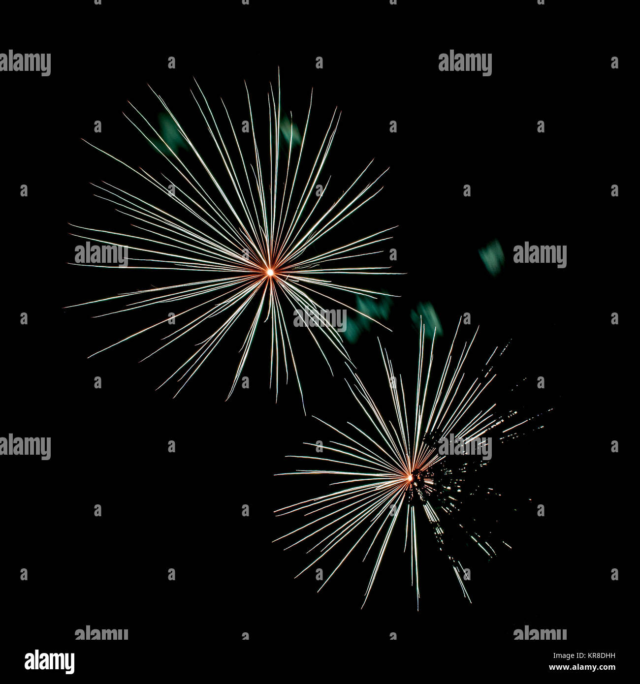 sparkling firework on night seen from a park and trees silhouettes ...