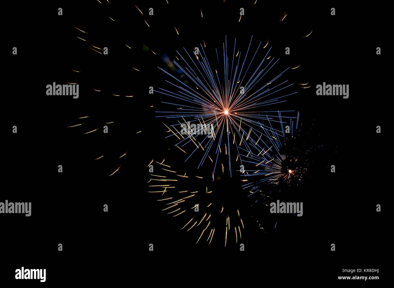 sparkling firework on night seen from a park and trees silhouettes ...
