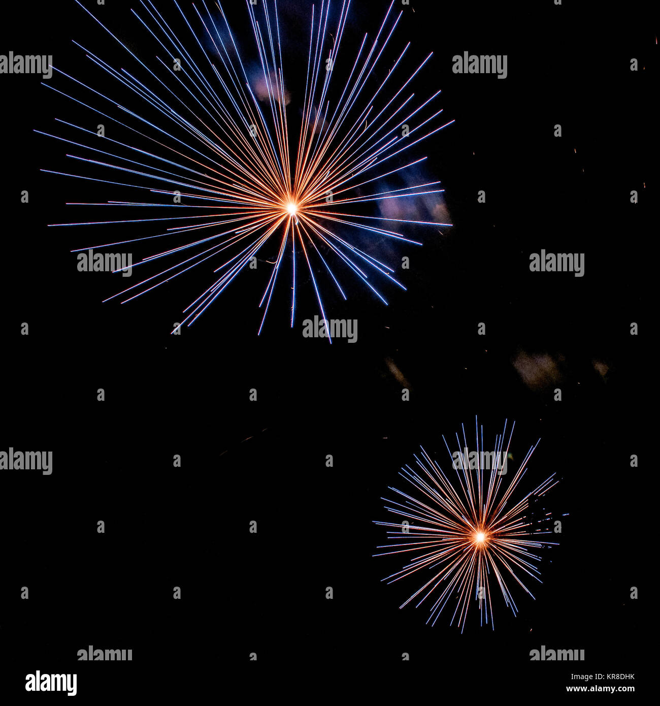 sparkling firework on night seen from a park and trees silhouettes ...